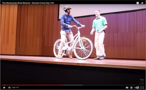 Avadian's Musings - Can We Truly Train Our Brains?