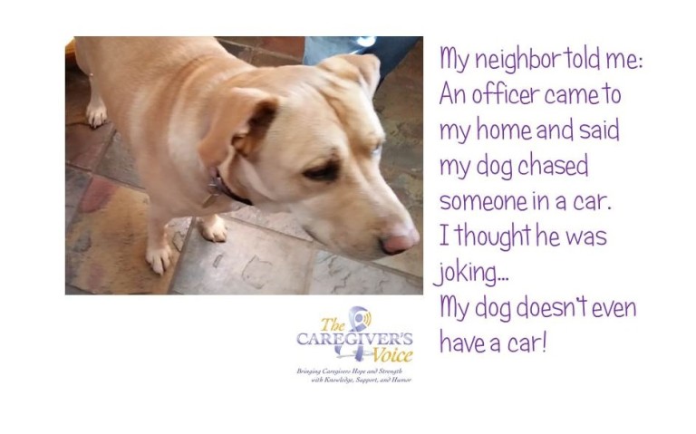 The Caregivers Voice Caregiver Humor about Dogs Driving