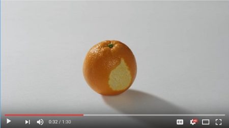 The Caregivers Voice Alzheimer's Disease and the Orange