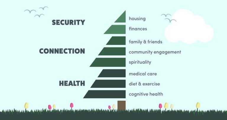 The Caregivers Voice The Elder Health Tree - An Integrated Resource